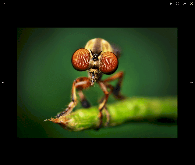 TOWeb version 6 new features